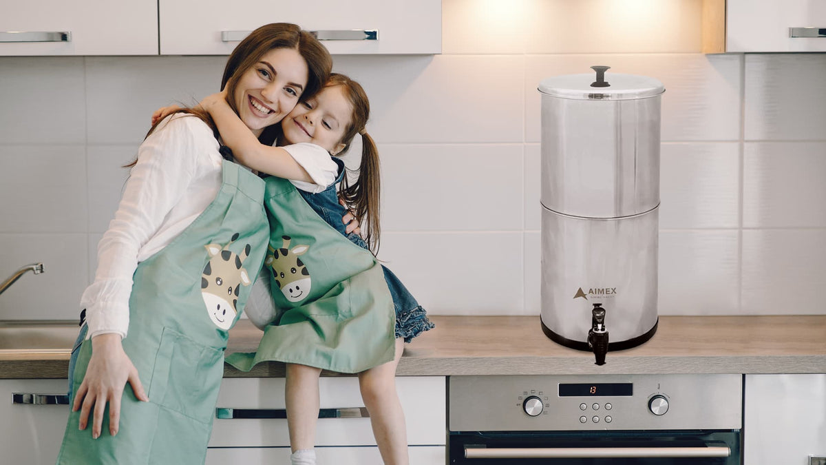 Why Choose a Stainless Steel Water Filter System? – Aimex Australia